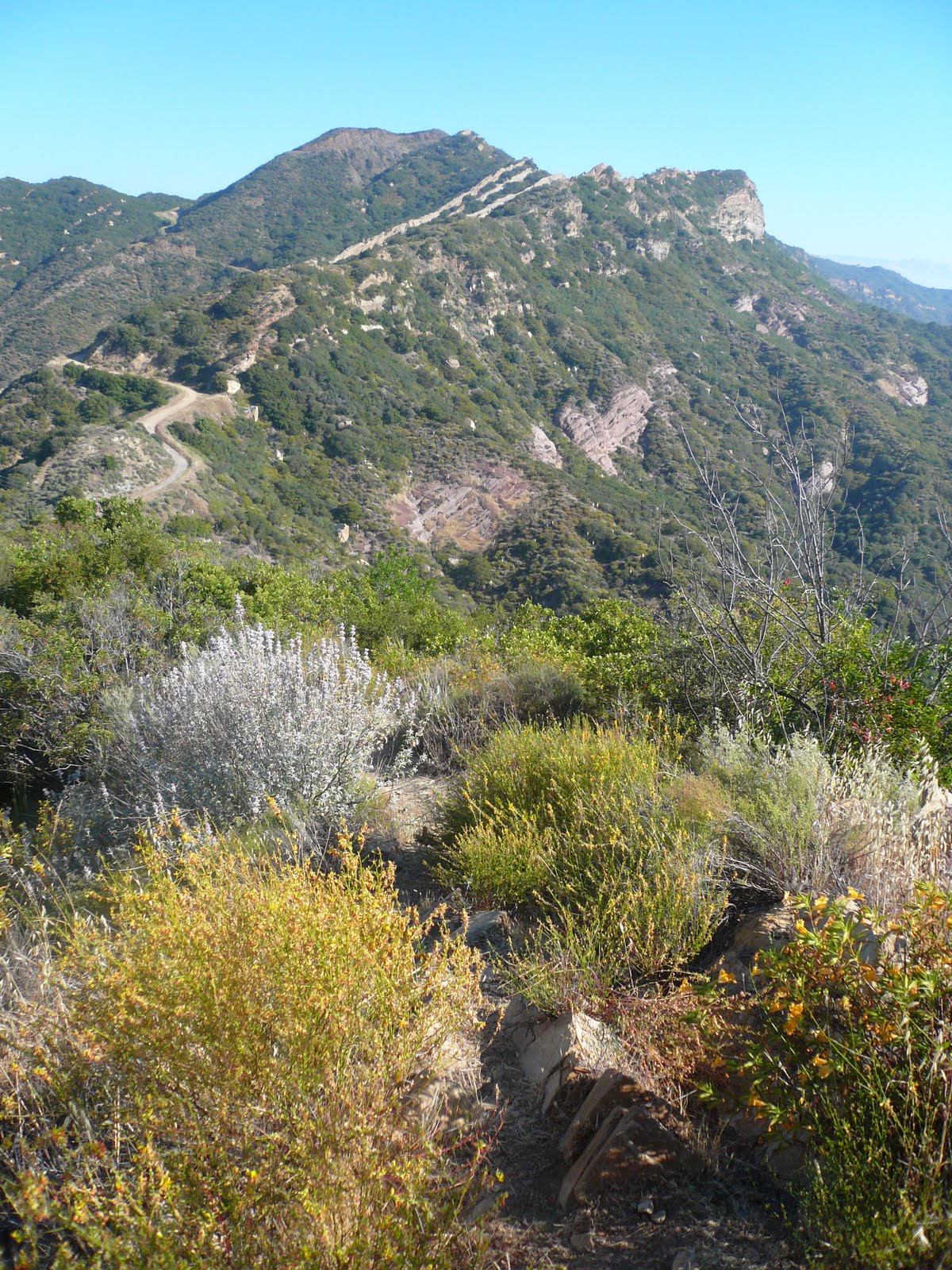 Simple Hiker: Topanga Ridge, Saddle Peak and Cold Creek Loop