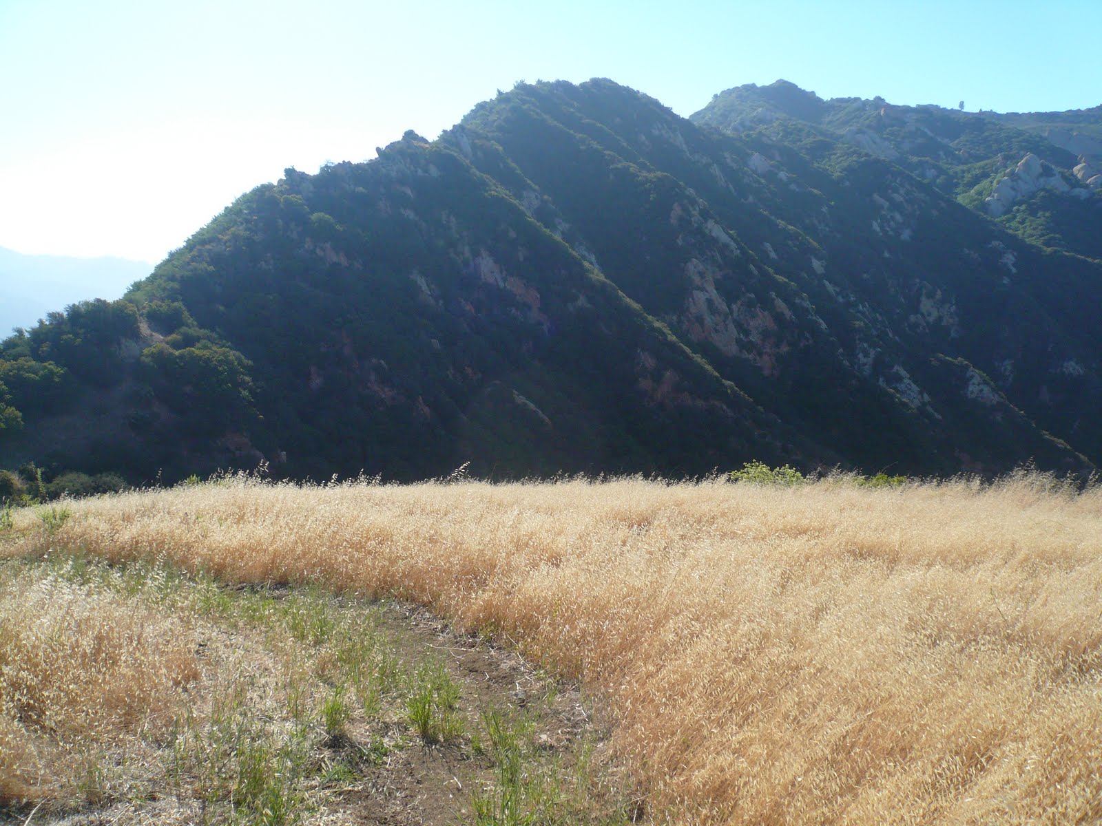 Simple Hiker: Topanga Ridge, Saddle Peak and Cold Creek Loop