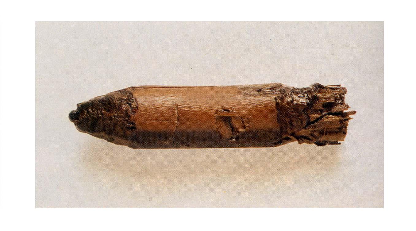 Otzi The Iceman Tools