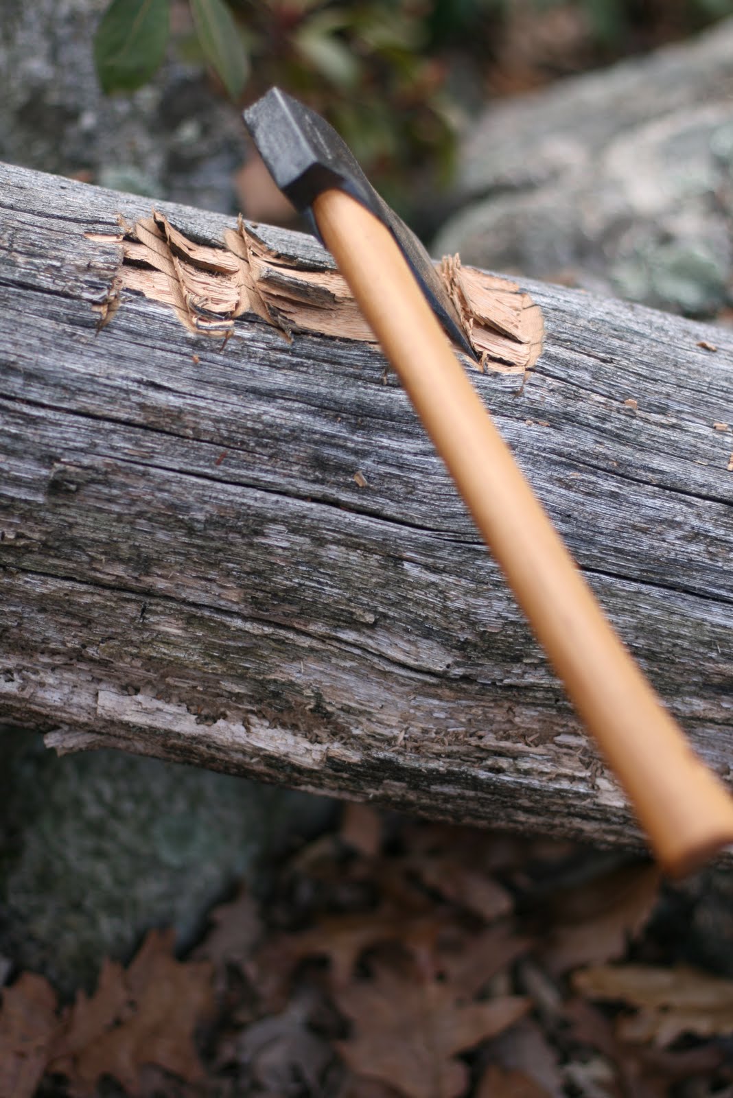 Wood Trekker: Chopping Down a Big Tree With a Small Axe