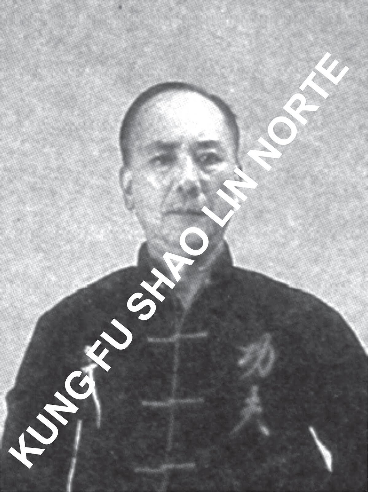 ACADEMIA TFP KUNG FU TRAINING: MESTRES