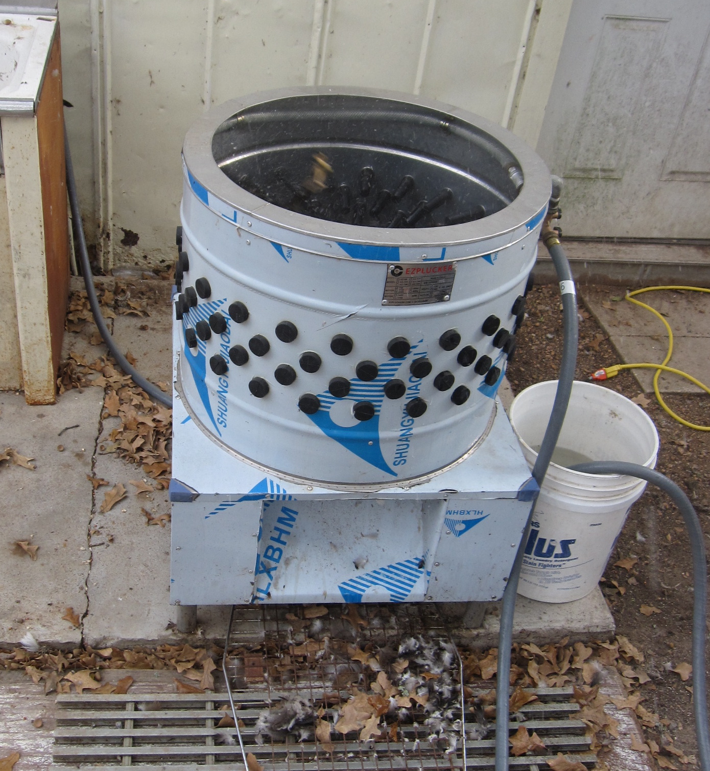 An Austin Homestead: Farm to Table: Processing Ducks