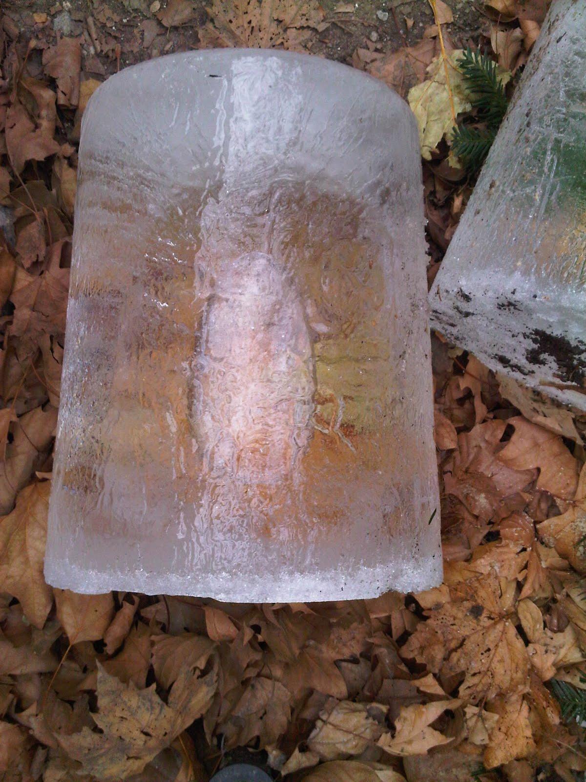 I SAW ART TODAY: ICE BUCKETS