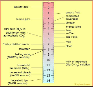 ACID RAIN: ACID RAIN EFFECTS ON ENVIRONMENT