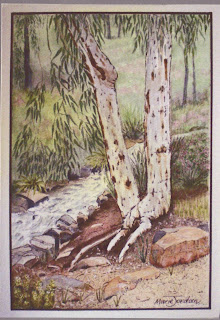 Australian Bush Paintings from Photos: Painted Scenes from Australian ...