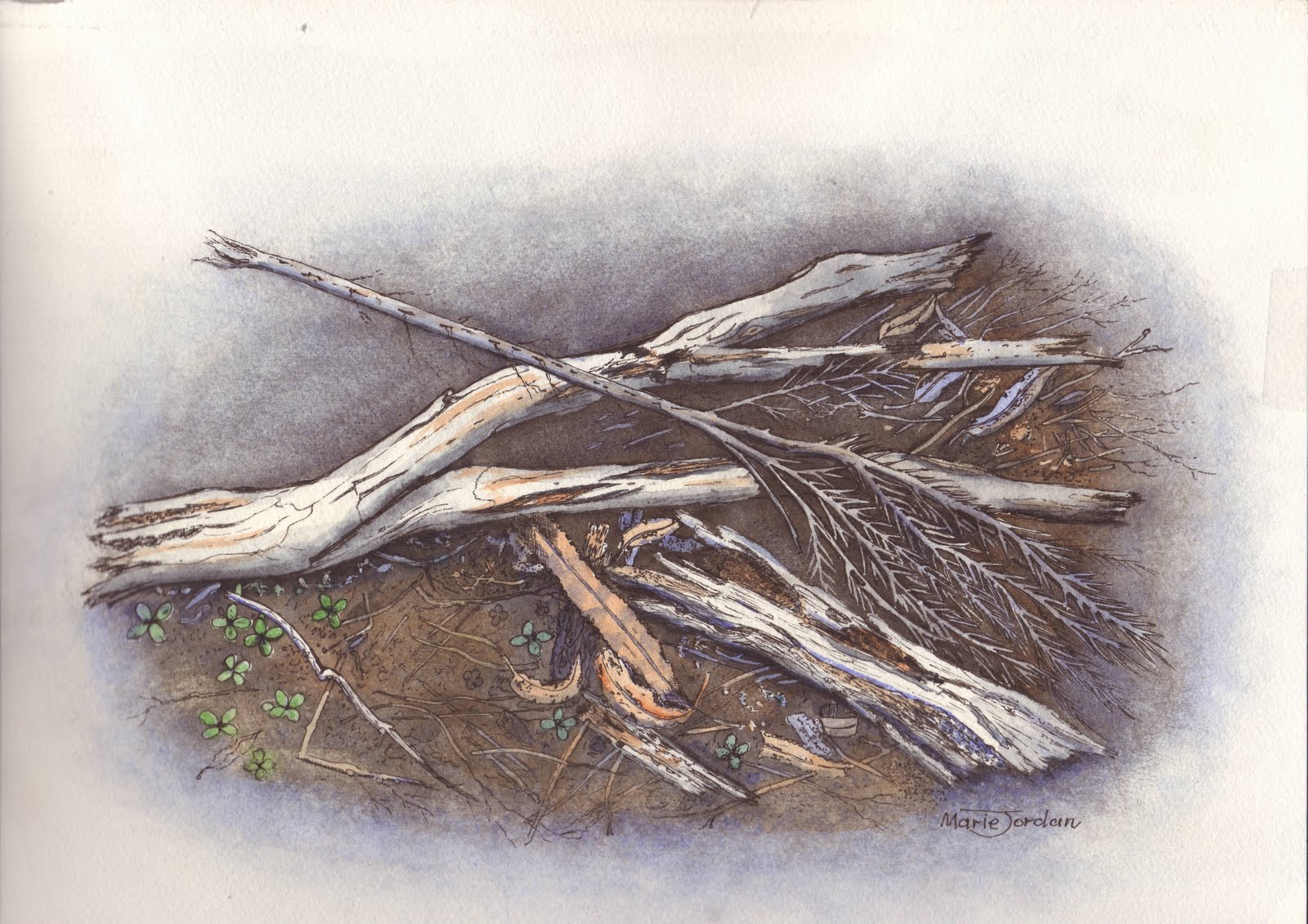 Australian Bush Paintings from Photos: Forrest Floor - Bush Scene