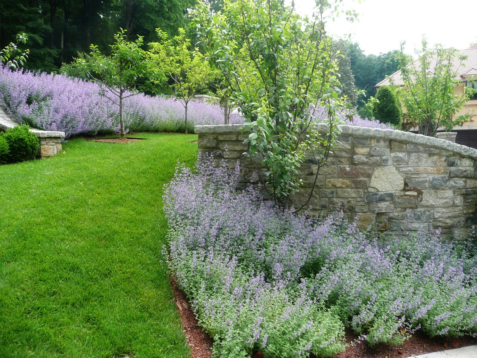 erin's art and gardens: escape to the garden part II.......