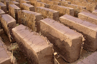 Alt. Build Blog: Adobe Brick Making in Patzcuaro, Mexico