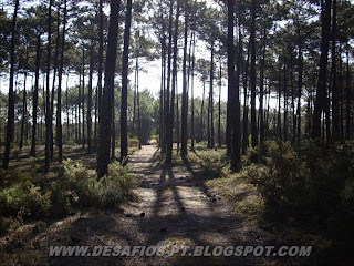 Percursos Pedestres: Trilho da floresta - Ovar