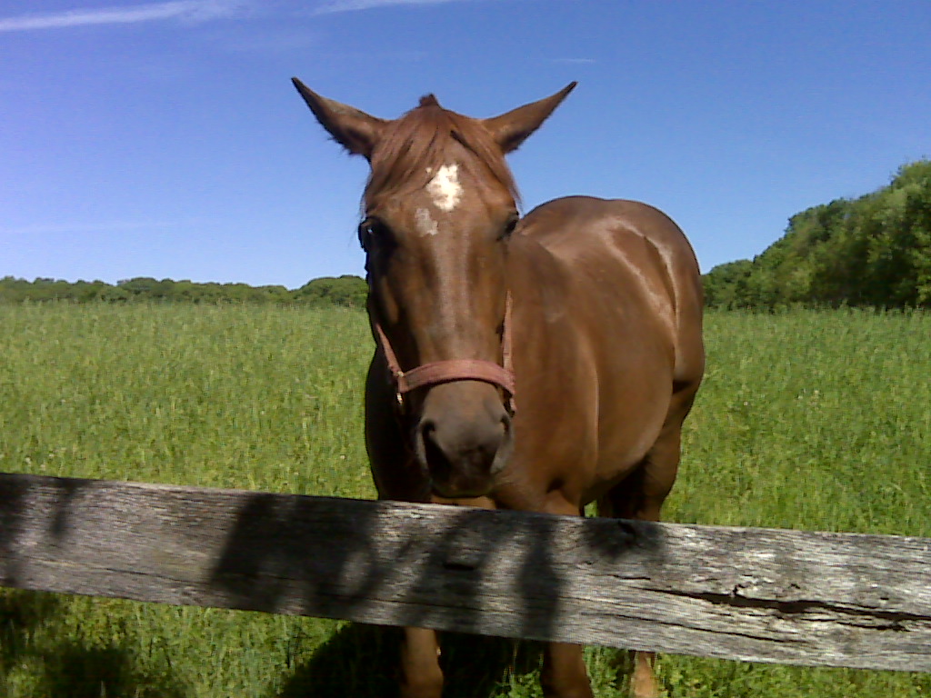 Racy Runners: Where was BRUCE? A Trek Through Colts Neck Looking for ...