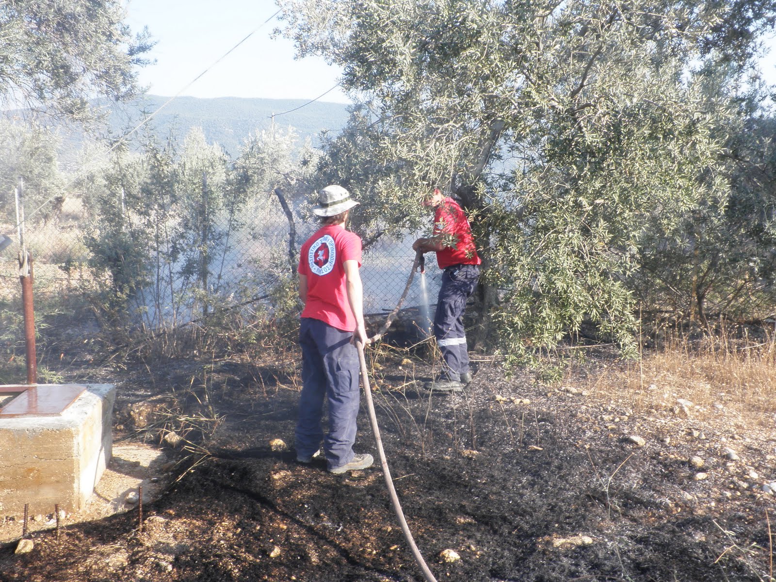 ΔΙΑΣΩΣΤΙΚΟ ΣΩΜΑ ΠΗΓΑΣΟΣ: Ιουλίου 2010