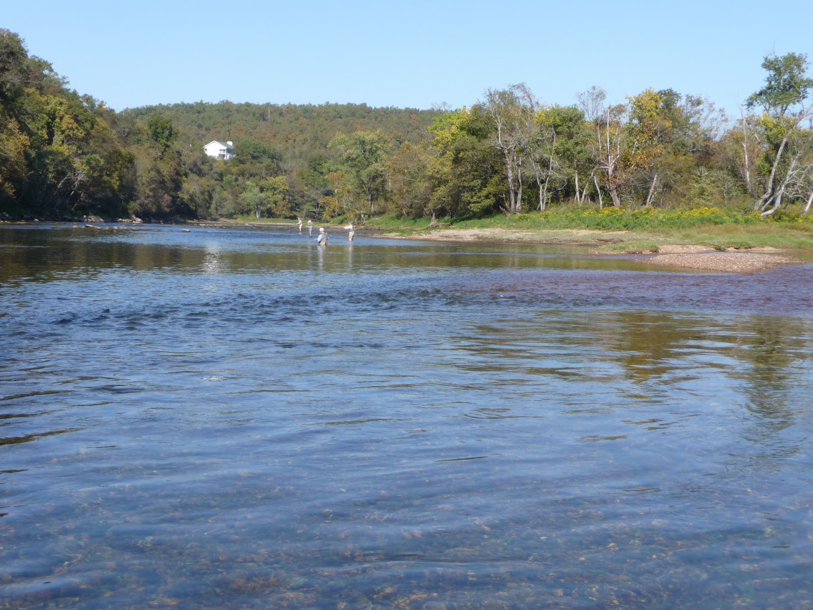 The Hawk's Nest: Spring River, Buffalo River (AR) and White River - Oct ...