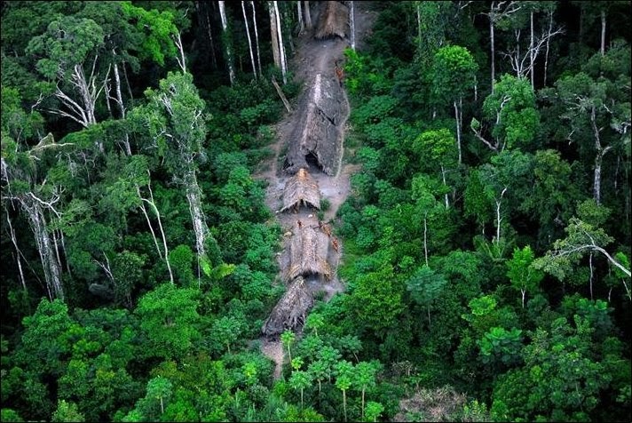 Genetic Jungle: First contact: a lost tribe of the Amazon