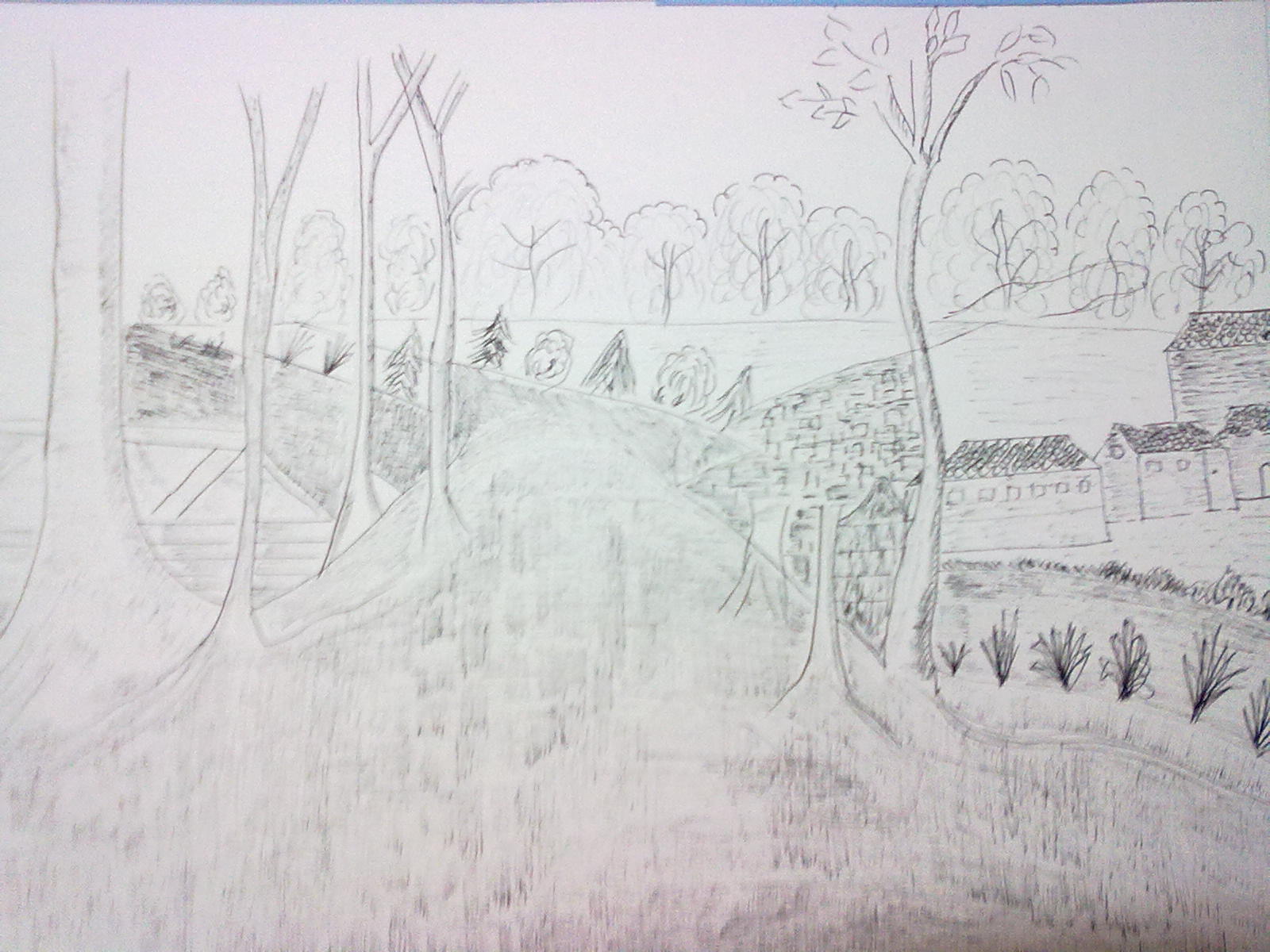 Beginning the Journey of Drawing.