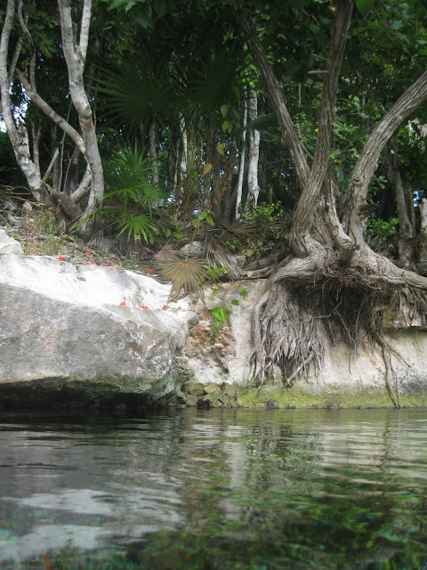 Charity's Chatter: Cruise Day 3: Calica, Mexico