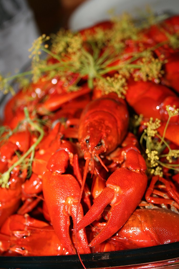 Sirpan valokuvablogi: Rapu lähikuvassa