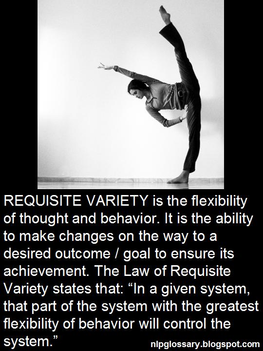 NLP GLOSSARY: Requisite Variety