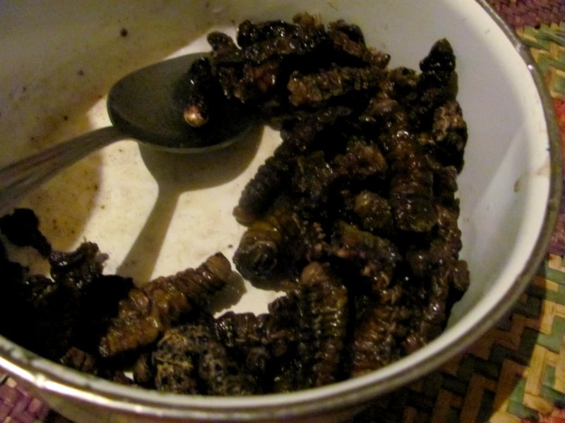 Anu in Lusaka: June 2010