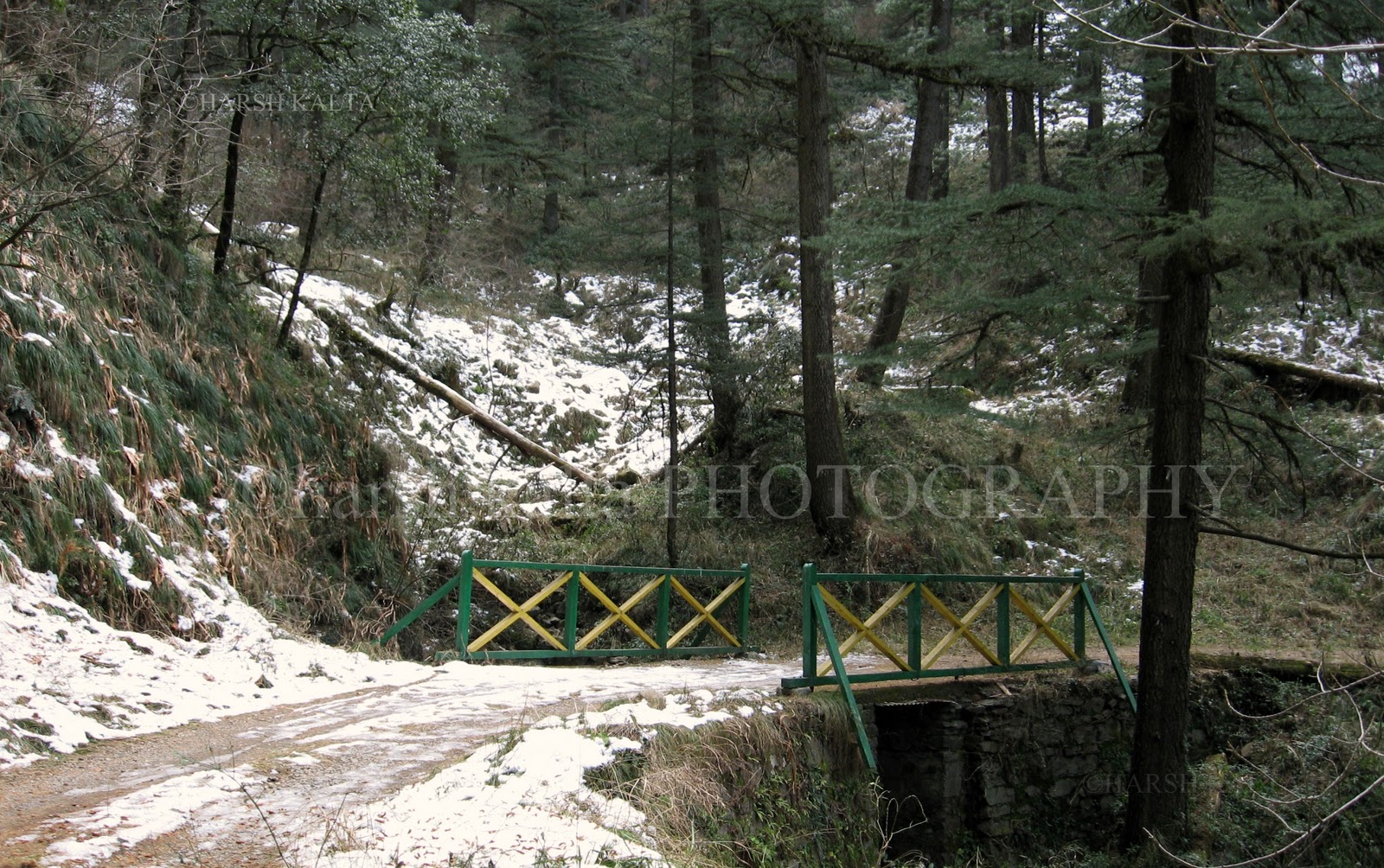 HARSH KALTA PHOTOGRAPHY: HASSAN VALLEY ALSO KNOWN AS WILD LIFE SANCTUARY
