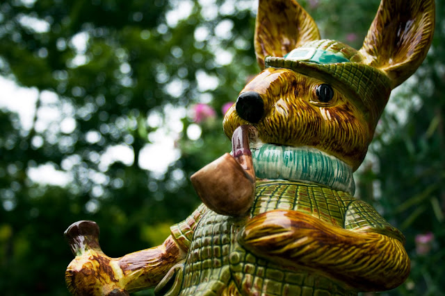 Kady Jo's Photo A Day: Rabbit Smoking Pipe