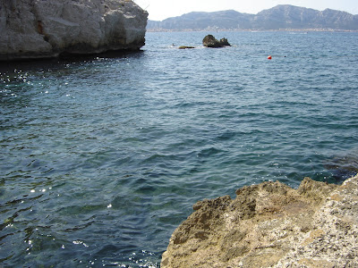 Sarah Lemer, PhD: Searching for genes from the Antennapedia familly in ...