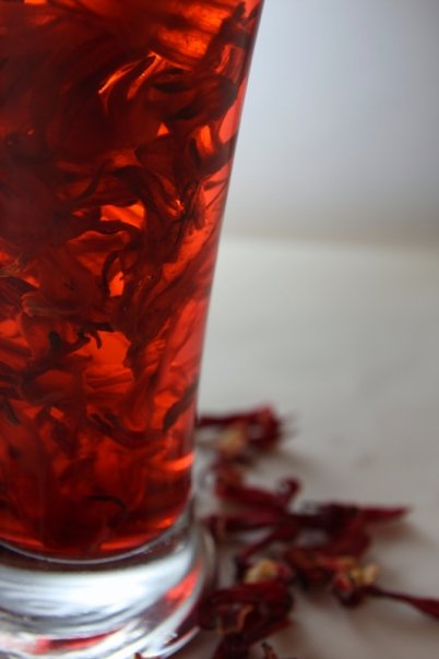 fine dining area: Amboja Herb Garden Yogyakarta Indonesia