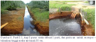 Hendar: Pembuatan Rorak dan Optimalisasi Produktivitas Tanaman Kelapa Sawit