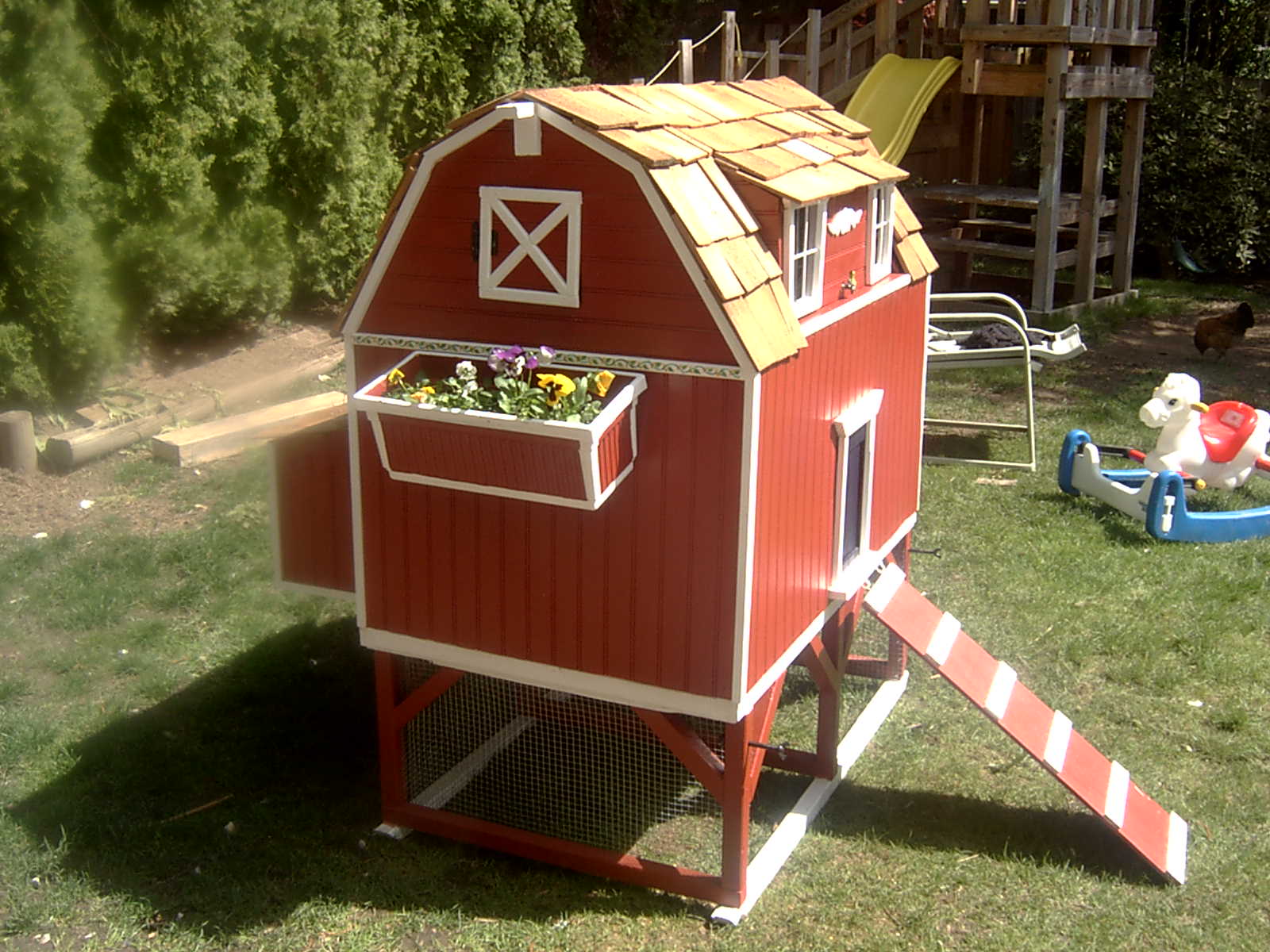 The Beautiful Chicken Farm