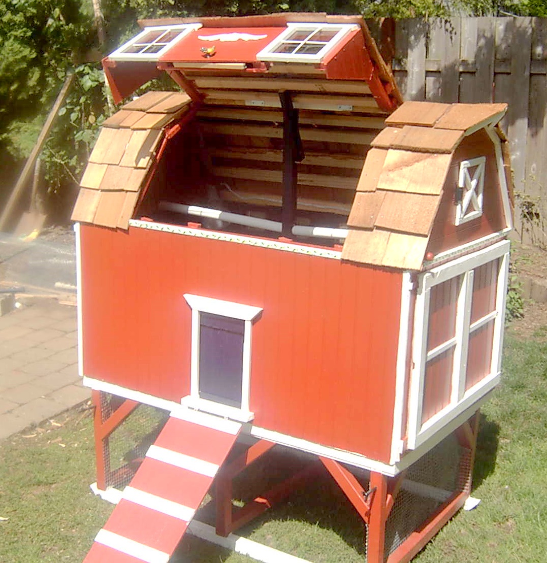 The Beautiful Chicken Farm