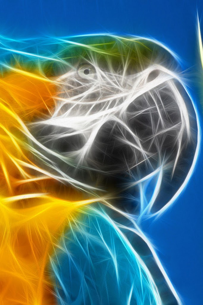 640X960 HD Wallpapers: 22nd Set