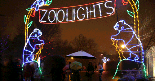 One Photograph a Day: National Zoo: ZooLights
