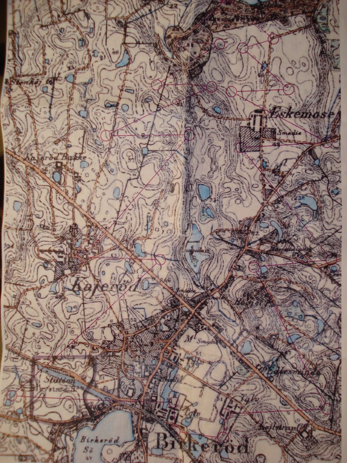 Michael Sørensen: Ski-orientering i Grib Skov