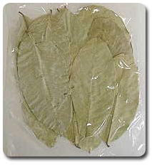 Filipino Herbal Medicine: BANABA LEAVES