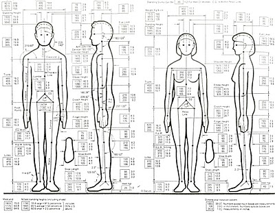 Design Spotlight: Proportion & Scale