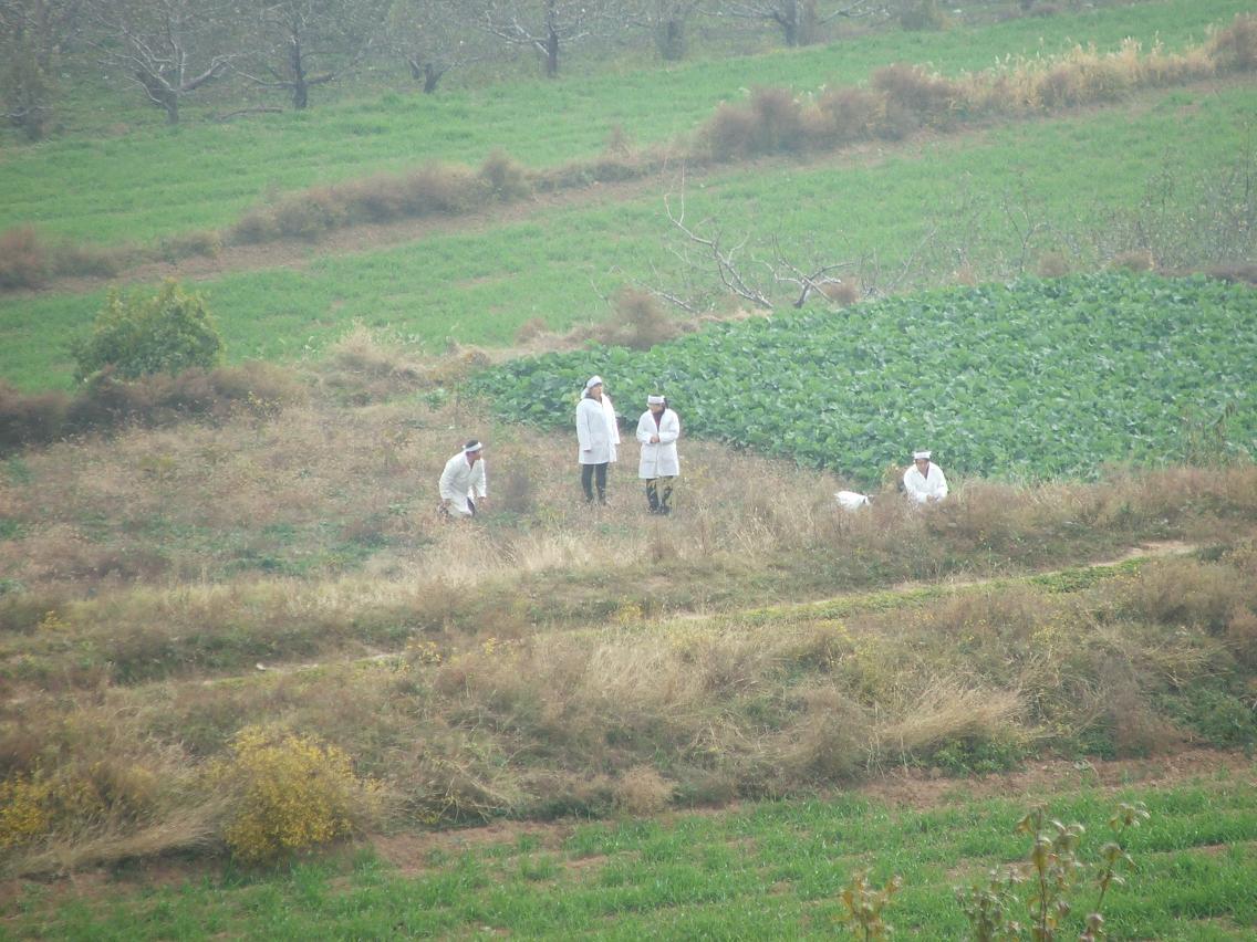 China thirty years after: A weekend in Xi'an