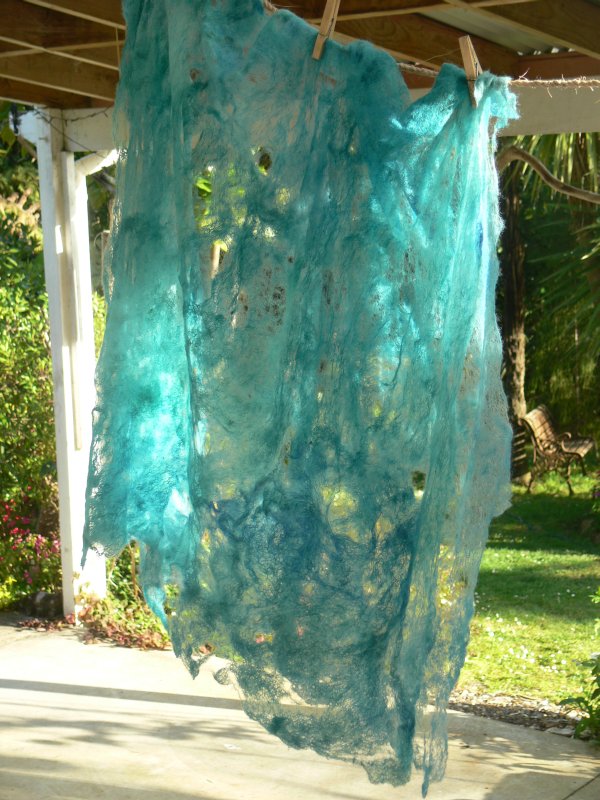 colorworx: Paua - my favorite in colour and shape