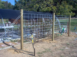 How to...inside and out: BLACKBERRY TRELLIS