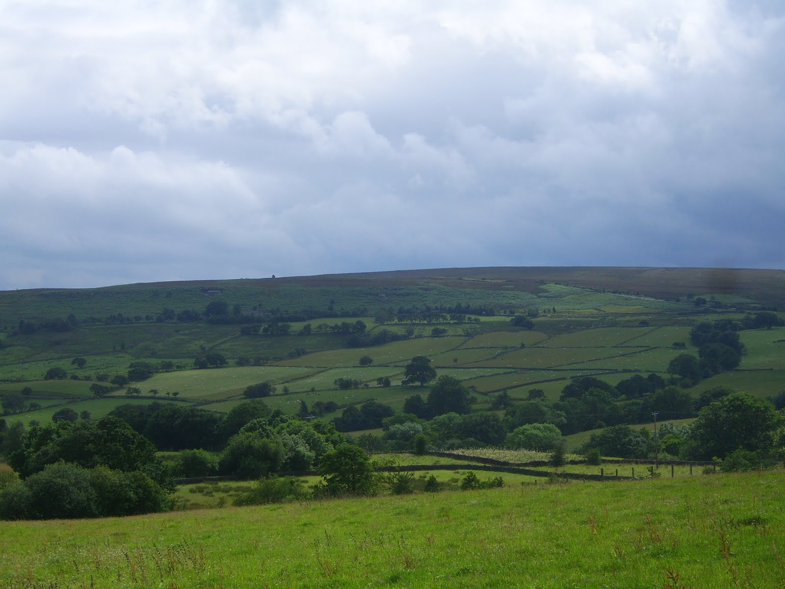 Burland Wanderings, Wainwright Walks etc.: Timble and Swinsty