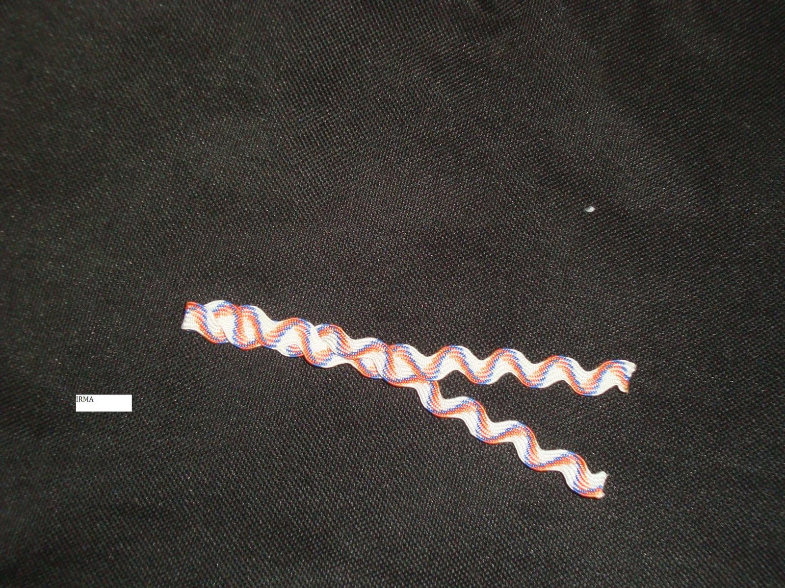 Todo Para Eventos: BORDADO CON ESPIGUILLA