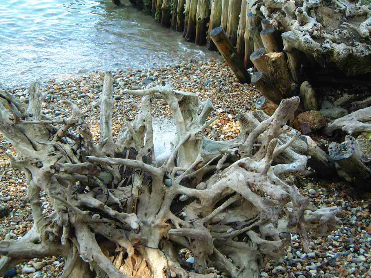 Bits and pieces: July 2010