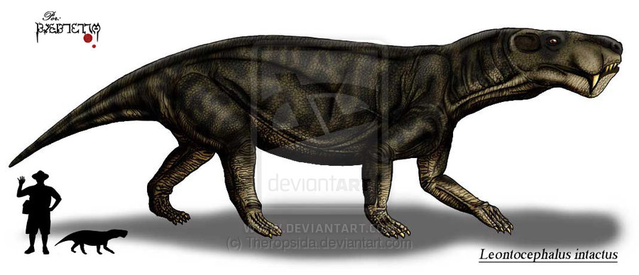 Hronoblog: 299-251 млн лет назад. Пермский период. Жизнь.(Продолжение1)