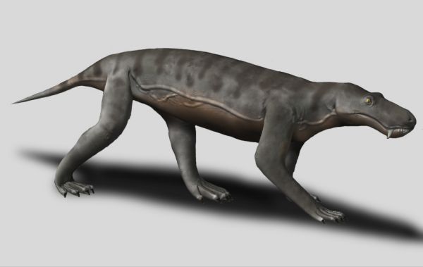 Hronoblog: 299-251 млн лет назад. Пермский период. Жизнь.(Продолжение1)