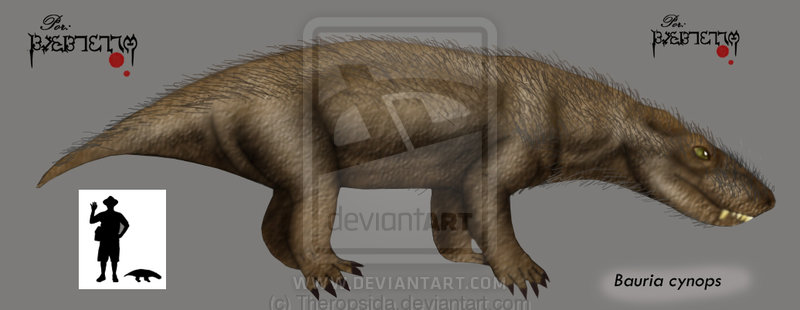 Hronoblog: 299-251 млн лет назад. Пермский период. Жизнь.(Продолжение 2)