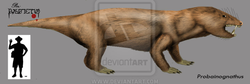 Hronoblog: 299-251 млн лет назад. Пермский период. Жизнь.(Продолжение 2)