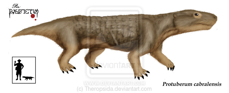 Hronoblog: 299-251 млн лет назад. Пермский период. Жизнь.(Продолжение 2)