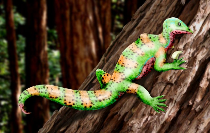 Hronoblog: 299-251 млн лет назад. Пермский период. Жизнь.(Продолжение 4)