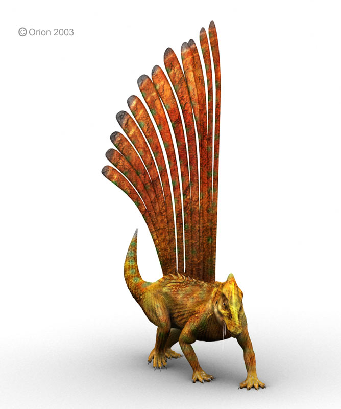 Hronoblog: 299-251 млн лет назад. Пермский период. Жизнь.(Продолжение 4)