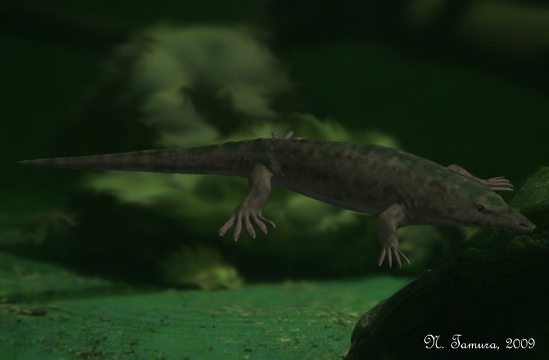 Hronoblog: 299-251 млн лет назад. Пермский период. Жизнь.(Продолжение 6)