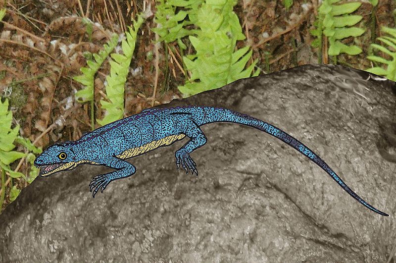 Hronoblog: 251-199.6 млн лет назад.Триасовый период.Жизнь 8.