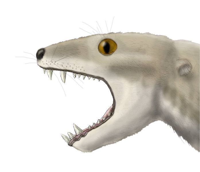 Hronoblog: 251-199.6 млн лет назад.Триасовый период.Жизнь 8.